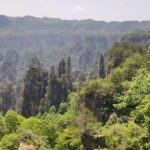 Zhangjiajie: National Forest Park 1-Day VIP Private Tour - Authentic Experiences and Insights from Travelers