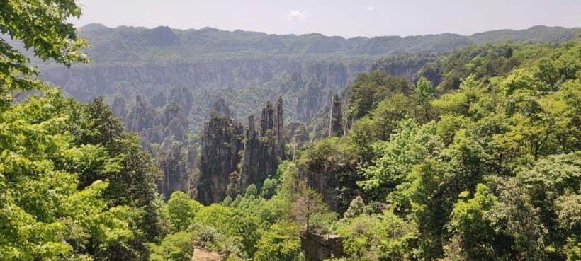 Zhangjiajie: National Forest Park 1-Day VIP Private Tour - Authentic Experiences and Insights from Travelers
