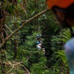 Ziplining Cape Tribulation with Treetops Adventures - Discovering Cape Tribulation from the Canopy