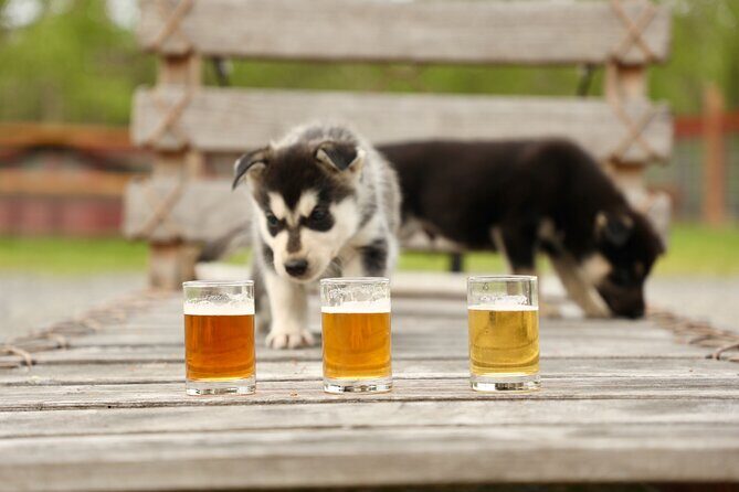 1.5-Hour Beer and Puppies Guided Experience in Fairbanks - The Value of the Experience