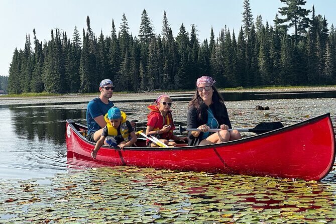 1 Day Canoeing Tour in Algonquin Park - Things to Keep in Mind
