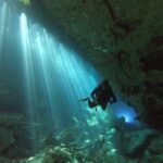 1 day of diving in Cenotes price for 2 certified divers - The Quality of the Guides and Equipment