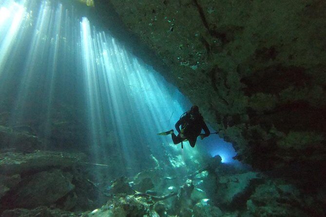 1 day of diving in Cenotes price for 2 certified divers - The Quality of the Guides and Equipment