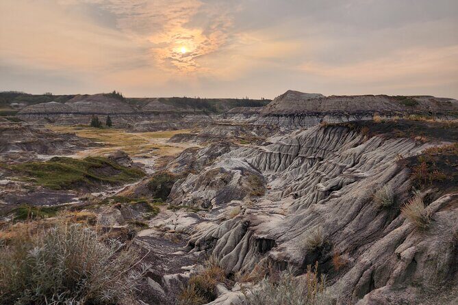 1 Day of Drumheller Dinosaurs and Badlands Guided Group Tour - Transport and Group Size