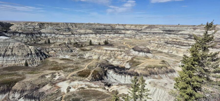 1 Day of Drumheller Dinosaurs and Badlands Guided Tour - What’s Included and What’s Not