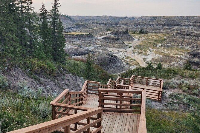 1 Day of Drumheller Dinosaurs and Badlands in Private Custom Tour - Highlights of the Itinerary