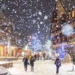 1 day Whistler Tour from Vancouver Experience (chn&eng) - Who Is This Tour Best For?