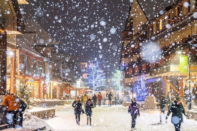 1 day Whistler Tour from Vancouver Experience (chn&eng) - Who Is This Tour Best For?