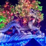 1 hour City Tour & Butchart Gardens: Christmas - Entry included! - A Detailed Look at the Experience