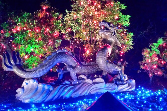 1 hour City Tour & Butchart Gardens: Christmas - Entry included! - A Detailed Look at the Experience