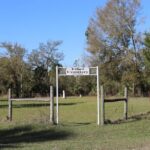 1 Hour Guided Horseback Trail Ride Rock Springs Run State Reserve - Wildlife and Nature Encounters