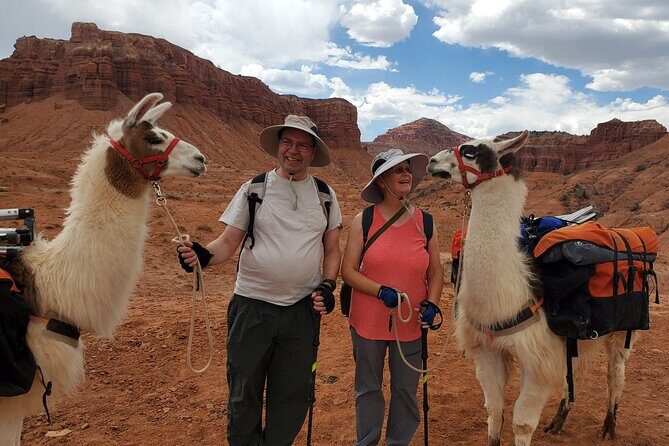 1-Hour Llama Hike Family Friendly and Fun - The Value of the Experience