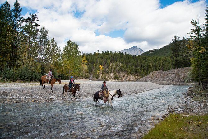 1 Hour Spray River Ride - The Horses and Guides