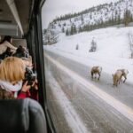 $1100cdn Private Tour Transportation Driver Guide of Banff! - Key Points