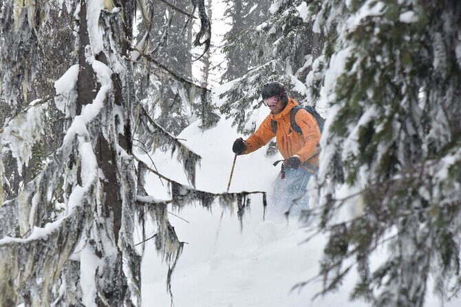 12 Days Powder Highway Ski and Snowboard Tour - The Itinerary in Detail