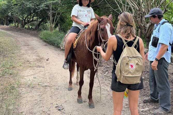 14 Day Beach Paradise Tour in Puerto Escondido Mexico - Arrival and First Impressions: Easy Start at Puerto Escondido Airport