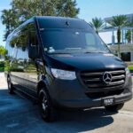 14 Passengers Van private Transfer to/From Port Canaveral One Way - A Closer Look at the Customer Reviews