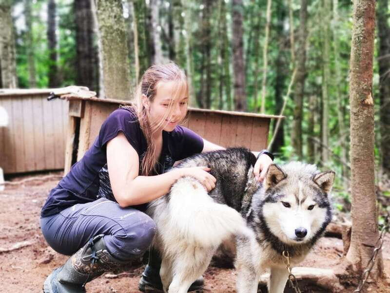 15 min. Tadoussac : Behind-the-Scenes Sled Dog Kennel Tour - Who Will Love This Tour?