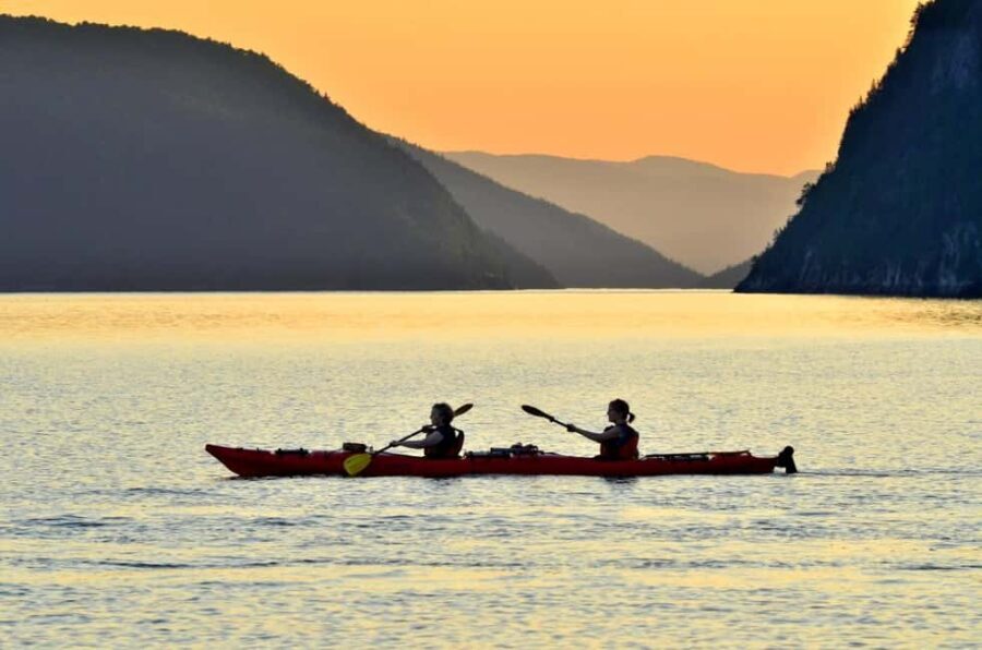 15 min Tadoussac: Guided Sea Kayaking Adventure - Tour Flow and Group Size