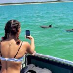 2.5 Hour Shell Key Island Adventure Including Dolphins And Shells - Detailed Itinerary: What to Expect