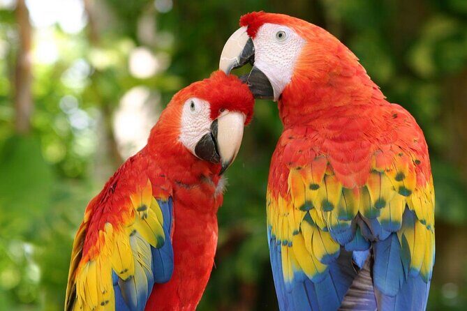 2 Day Combo Tour, Xcaret, Xel-Ha, Xplor and Chichen Itza Option - Practical Details and Tips