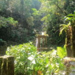 2 day tour Puente de Dios and Xilitla from San Luis Potosí - Why This Tour Offers Great Value