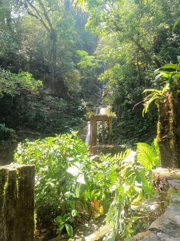 2 day tour Puente de Dios and Xilitla from San Luis Potosí - Why This Tour Offers Great Value