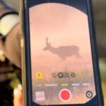 2 Day Yellowstone Safari Upper and Lower Loop Bozeman - What Makes This Tour Stand Out?
