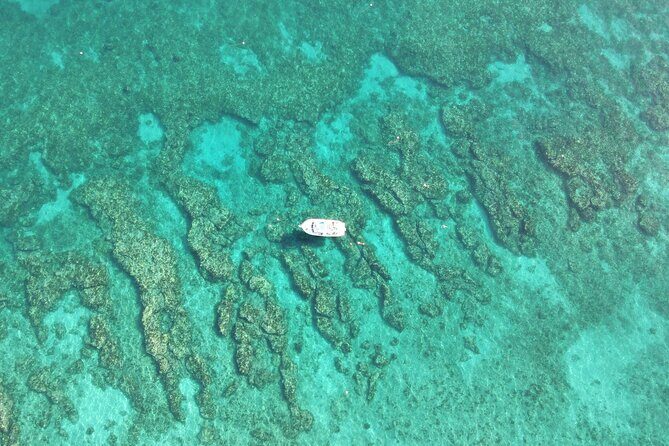 2 Dive Scuba Diving Reef Excursion to Key Largo Marine Sanctuary - The Experience: Pros and Cons