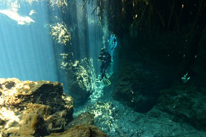 2 dives in Cenote Dos ojos Certified Divers - Key Points