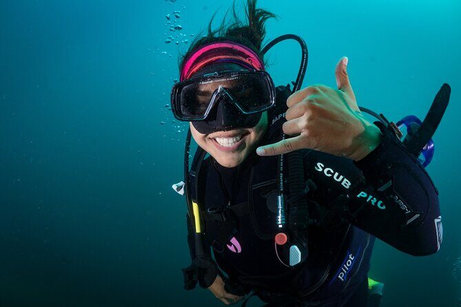 2 Dives in the Cabo Marine Park - Why Choose This Tour?