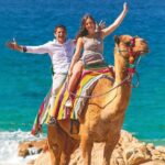 2-Hour Camel Ride Beach and Desert Adventure Experience - Who Will Enjoy This Tour?