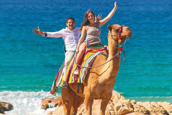2-Hour Camel Ride Beach and Desert Adventure Experience - Who Will Enjoy This Tour?