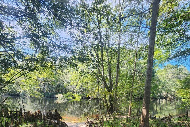 2 Hour Guided Clear Glass Bottom Kayak Tour Gilchrist Blue Spring - The Itinerary in Detail