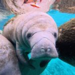 2 Hour Kayak Rental - The Sum Up