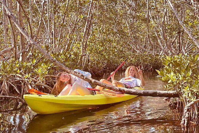 2 Hour Key West Kayak Rental  Discover Mangroves & Wildlife! - Who Should Consider This Tour?