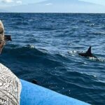 2 Hour Maui Dolphin Watch Sightsee Raft Tour (Semi-Private) - The Itinerary: A Closer Look