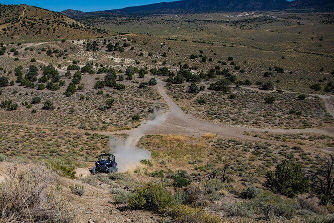 2-Hour Off-Road Razor Ridge Run Tour in the Desert - What to Expect on the Ridge Run Tour