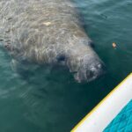 2 Hour Paddle Board Rental - Who Should Consider This Experience?