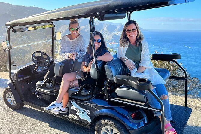2 Hour Private Tour of Avalon - The Reviews Speak Volumes