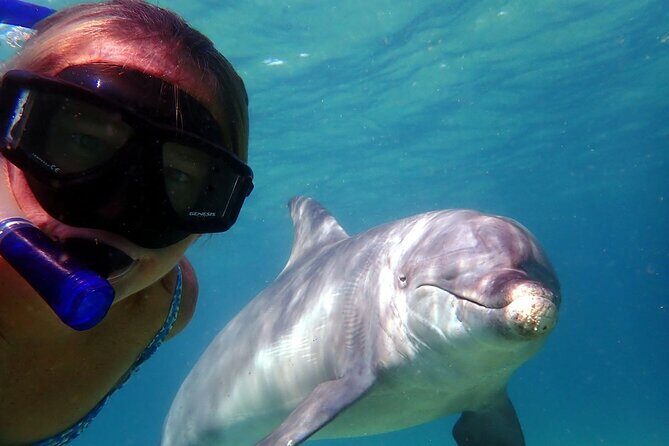 2 Hour Snorkeling and Dolphin Tour - The Itinerary Breakdown