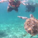 2-Hour Snorkeling in Two Spots of Tulum's Reef - What Travelers Say: Authentic Perspectives