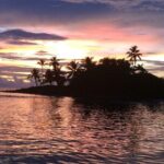 2 Hour Wildlife Adventure - The Value and Practical Considerations