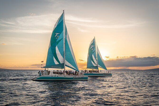 2 Hours Holo Holo Sunset Cocktail Sail with Open Bar - The Experience: The Good, the Bad, and the Unexpected