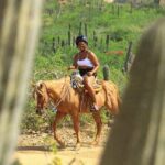 2 Hours Horseback Riding Adventure in Cabo - The Scenic Ride Along Migriño Beach