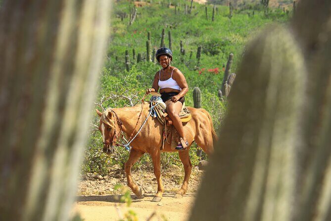 2 Hours Horseback Riding Adventure in Cabo - The Scenic Ride Along Migriño Beach