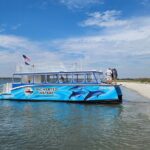 2 HR Dolphin Tour in North Myrtle Beach - Who Is This Tour Best For?