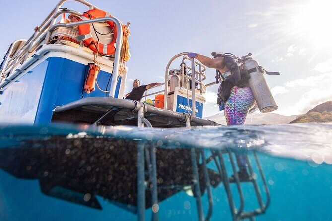 2-Tank Dive Featuring the Molokini Crater - The Itinerary in Detail