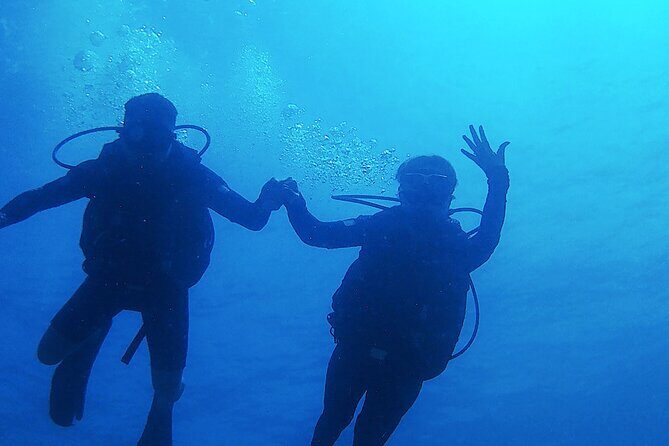 2 Tank Dive (for certified divers) - A Detailed Look at the Dive Experience