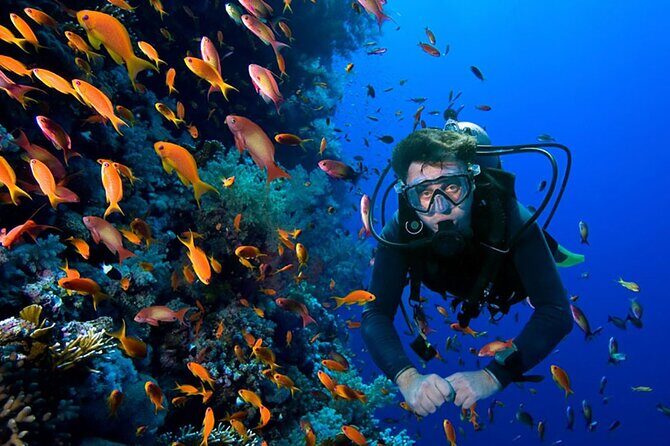 2 Tank Dive in Cozumel - What You Can Expect During the Dives